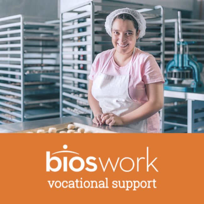 Making Life Work for Employers & Employees | BiosWork